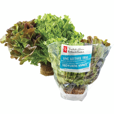 PC Live Lettuce Tri Mix - 1 Unit | PC.ca